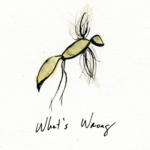 Hayfitz “What’s Wrong” – Hot Lunch Music